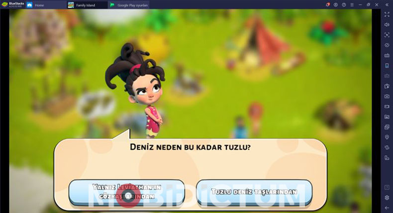 Family Island bilgisayardan nasıl oynanır? | Mobidictum